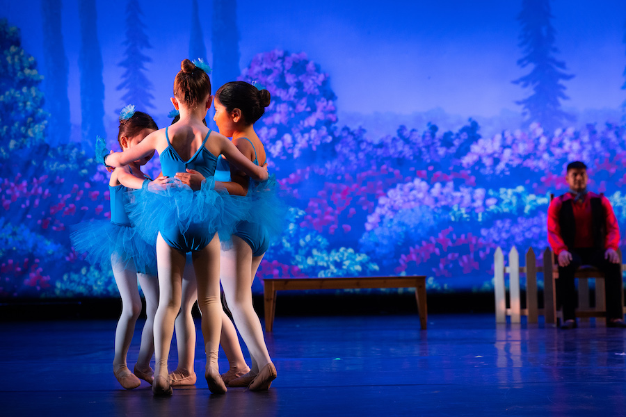 Performance Information – Ballet Theatre of Phoenix
